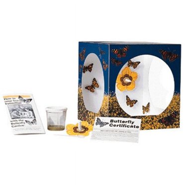 Insect Lore Best Ever Bug Jar, Pack of 3 - Walmart.com