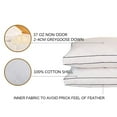 Peace Nest White Feather & Down Gusset Standard/Queen Pillow - Set of ...