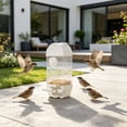 Transparent Triangular House Acrylic Bird Feeder, Spill-Proof Outdoor ...