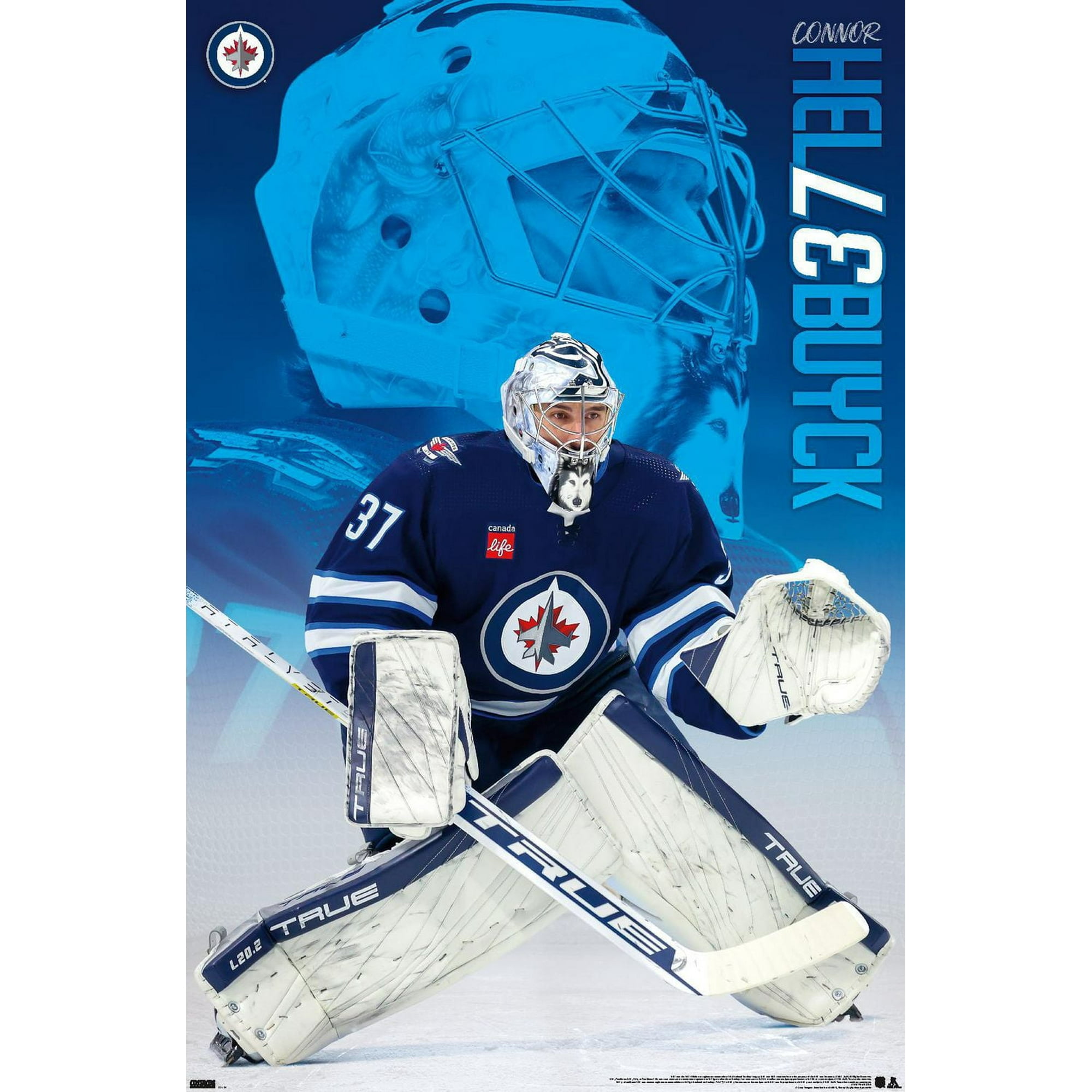 Click here for Trends International Nhl Winnipeg Jets - Connor He... prices