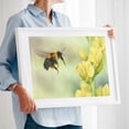 Bumblebee at yellow Baptisia - Photography Insect Wildlife Nature ...