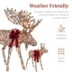 Best Choice Products 2-Piece Moose Family, Lighted Rattan Christmas ...