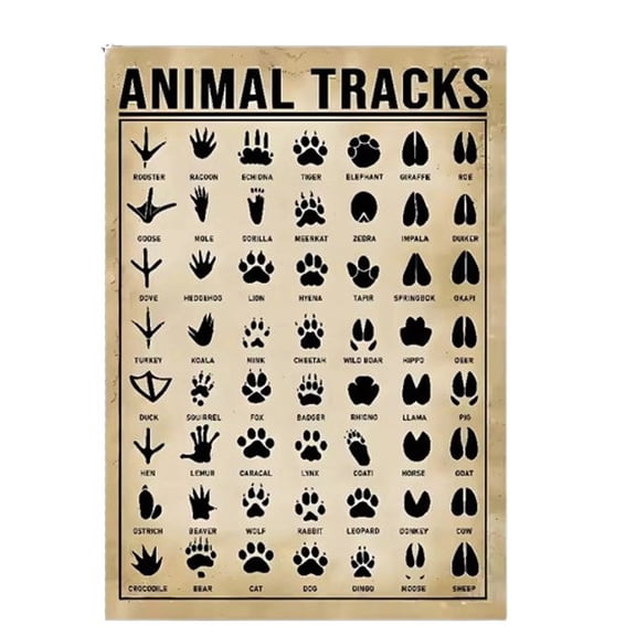 State Birds Poster Identification Chart - Walmart.com