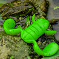 4.8cm Artificial Fishing Lures with Hook Frogs Crankbait Lure Soft ...