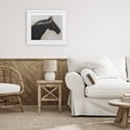 Stupell Industries The Mare In Profile White Framed Print Under Glass ...