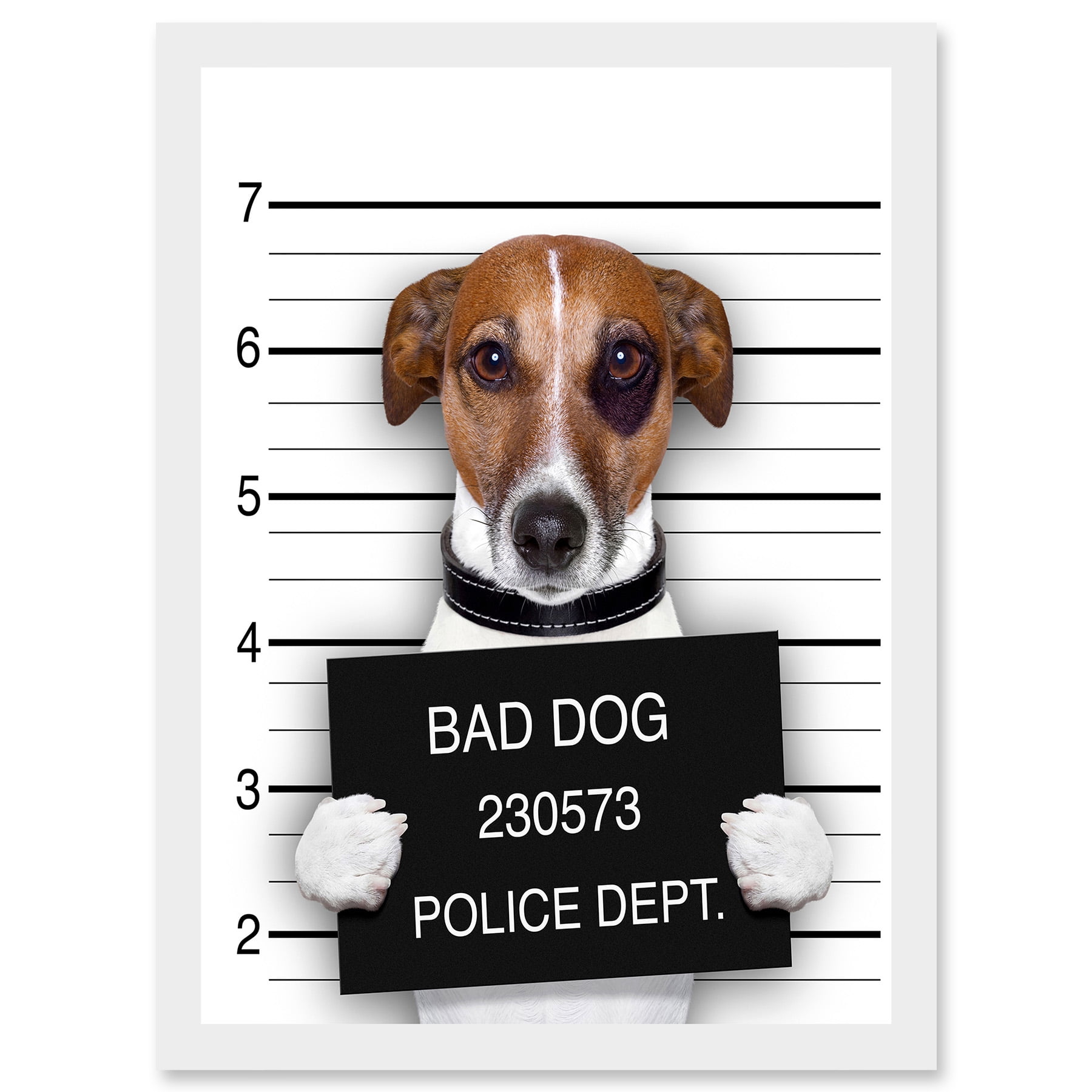 Jack Russell Bad Dog Mugshot Police Photo Artwork Framed Wall Art Print ...