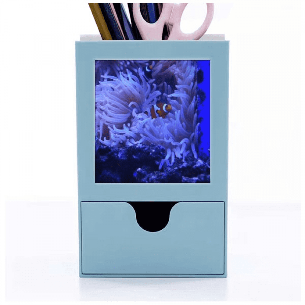 ocean anem fish science nature picture desk supplies organizer pen ...