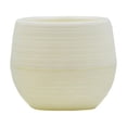 Mini Plant Pot Small Planter for Mini Green Plants Cacti Colorful Resin ...