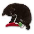 OurPets 100-Percent Catnip Filled Chili Pepper Cat Toy Hot Stuff Cosmic ...
