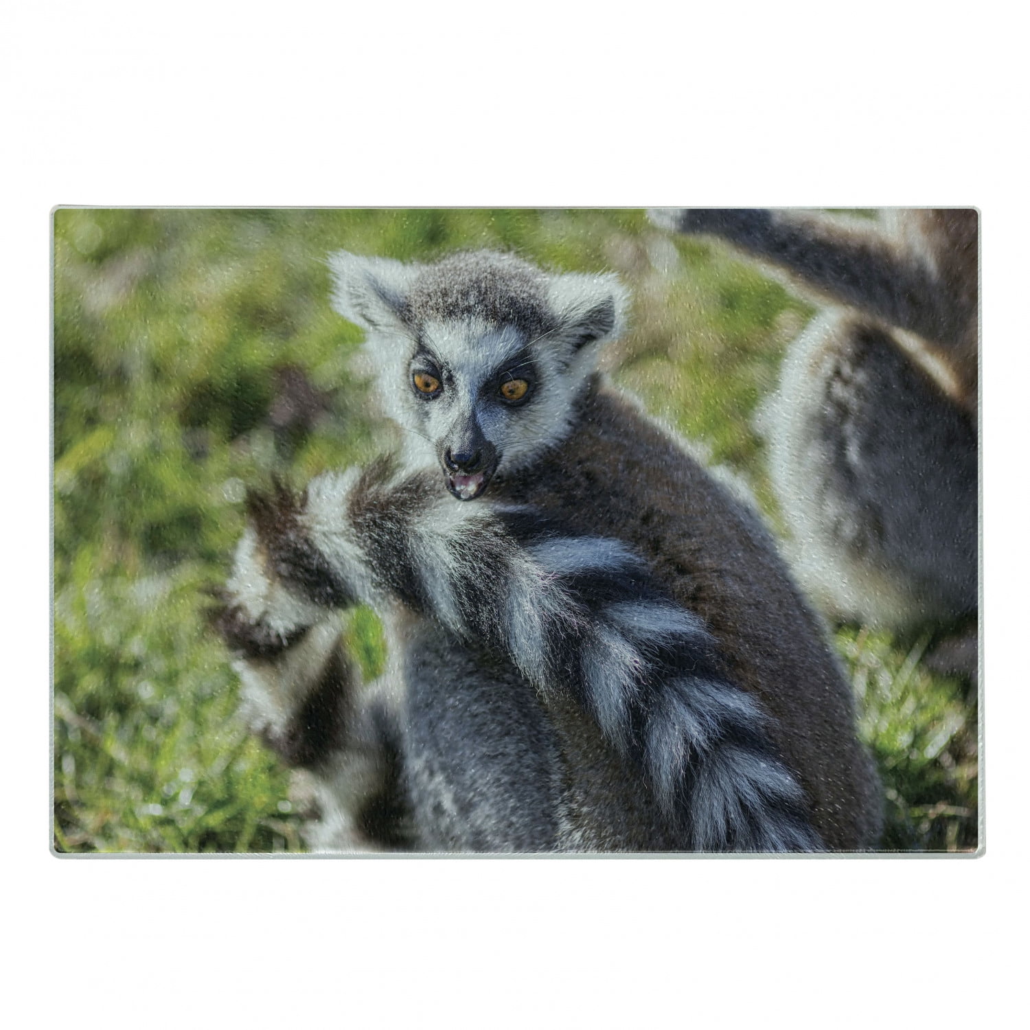 Lemur Cutting Board, Blurred Backdrop Photo of Ring Tailed Breed Animal ...