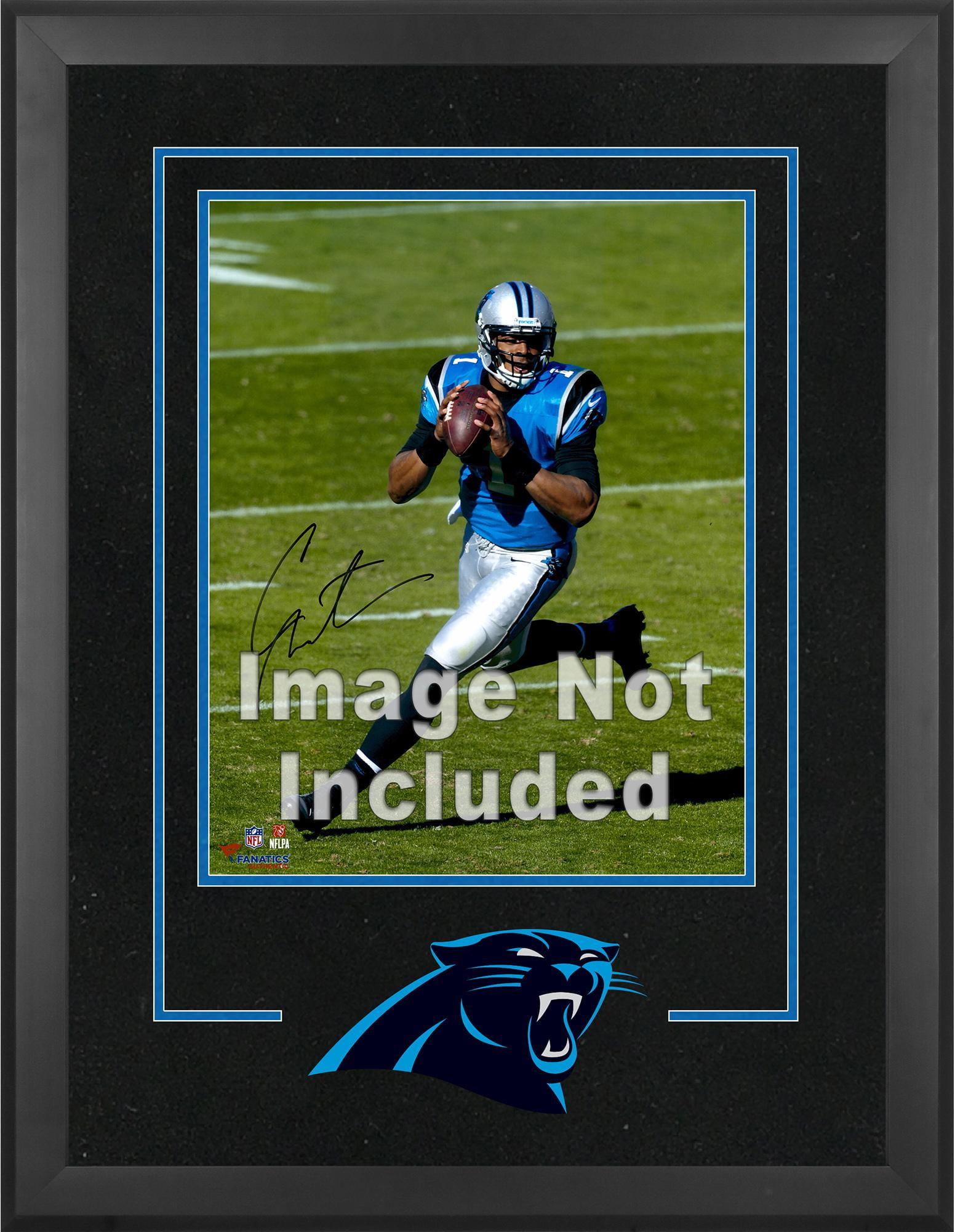 Carolina Panthers Deluxe 16" x 20" Vertical Photograph Frame with Team ...