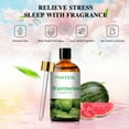Phatoil Watermelon Essential Oil, 100ML, Pure Natural Fragrance for ...