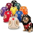 9 balls Tank top style dog leash, small dog chest harness, Dog Harness ...