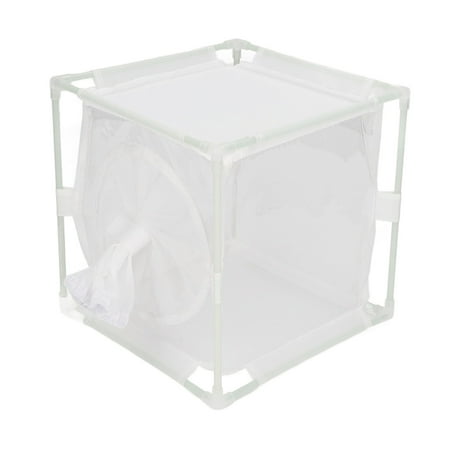 Observation Cage, Stable White Cage Durable For Cicada Sleeve Shaped ...