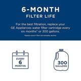 GE XWFE Refrigerator Water Filter - WR01F04788 - Walmart.ca