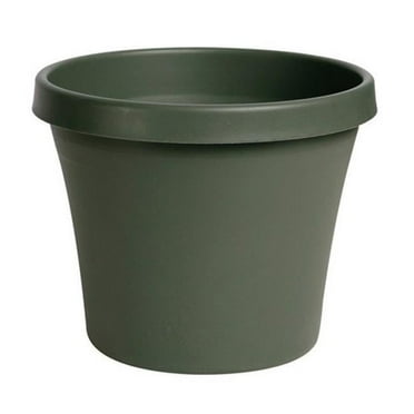 Bloem Terra Window Box Saucer Tray 18" Living Green - Walmart.com