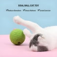 BESTSKY 2026 New Cat Ball Toy Sisal Cat Toys, Kitten Toys for Indoor ...