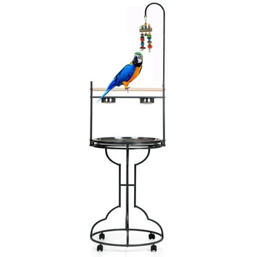 Free Shipping! Prevue Pet Products Coffeawood Java Tree Minis Medium ...