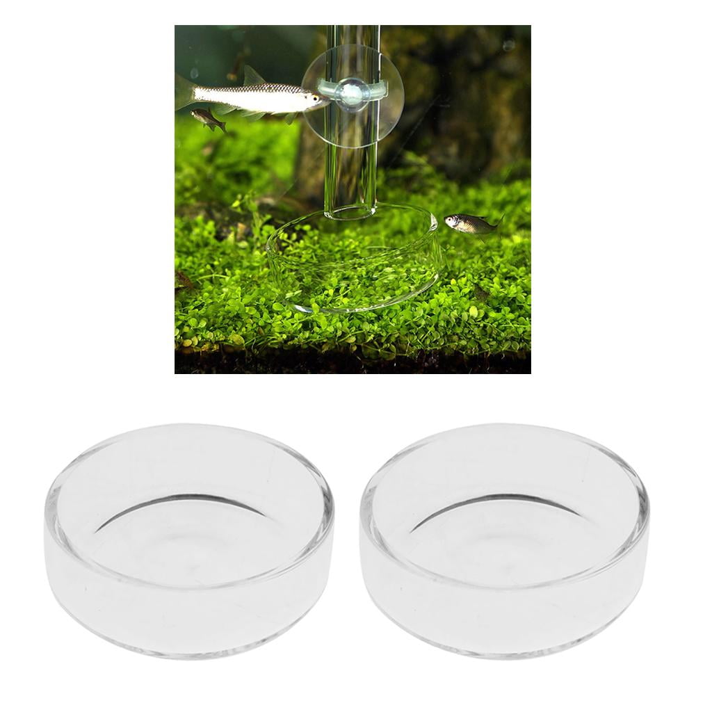 Pack 2 Glass Feeding Dish - Never Run Out of Food Heavy-Duty ...