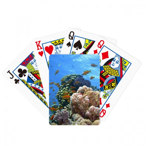 Ocean Fish Science Nature Picture Poker Playing Magic Card Fun Board ...