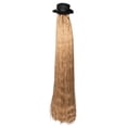 Costume Agent Spooky Family Long Hair Cousin Halloween Costume Wig, 1 ...