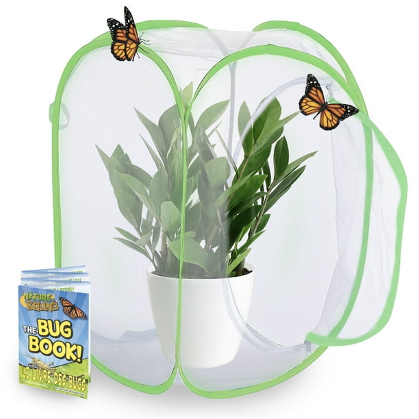 Live Butterfly Garden Kit