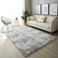 CozyDesg 8ft x 10ft Area Rugs, Soft Fluffy Area Rugs Floor Mat Floor ...