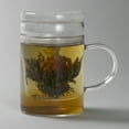 Primula 12 oz. Borosilicate Glass Personal Tea Brewer with Loose Tea ...