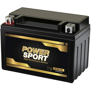 EverStart Premium AGM PowerSport Battery, Group Size TX14AH 12 Volt ...