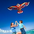 HENGDA KITE Colorful Eagle Kite, 63in*27in Outdoor Toy for Kids, Teens ...
