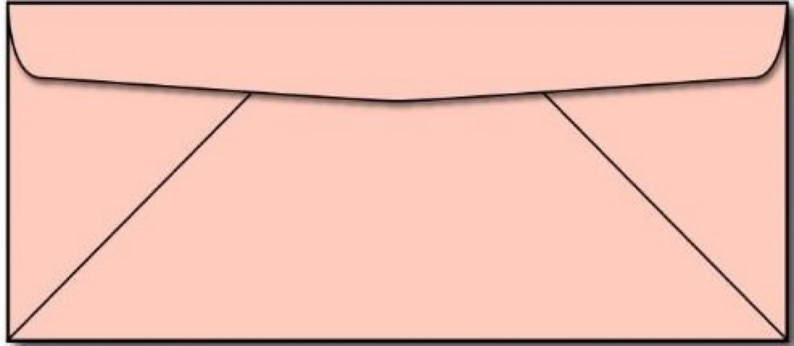 Pink #10 Business Size Envelopes - 100 Envelopes Limited PapersTM Brand ...