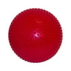 CanDo\xc2\xae Inflatable Exercise Ball - Sensi-Ball - Red - 30" (75 cm ...