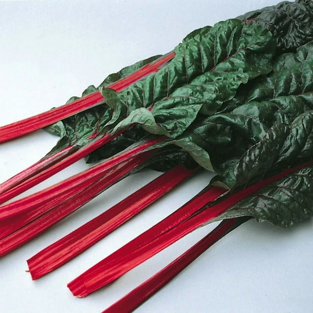 Swiss Chard Rhubarb Chard Seed - Walmart.com