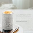 Earnest Living Wax Melt Warmer for Scented Wax Cubes Candle Warmer ...