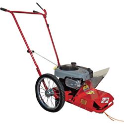 Sarlo 34878 Walk-Behind String Trimmer - 190cc Briggs & Stratton ...