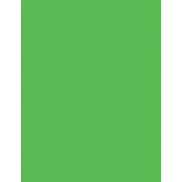 Pacon Neon Bond Paper 24 lb. 100 Sheets 8-1/2"x11" Neon Red 104315 ...