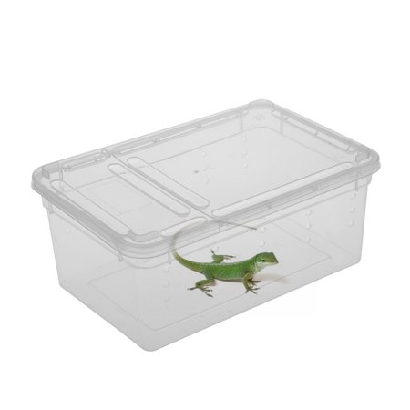 Reptile Tank, Insect Box, Transparent Vented Plastic, Transport ...