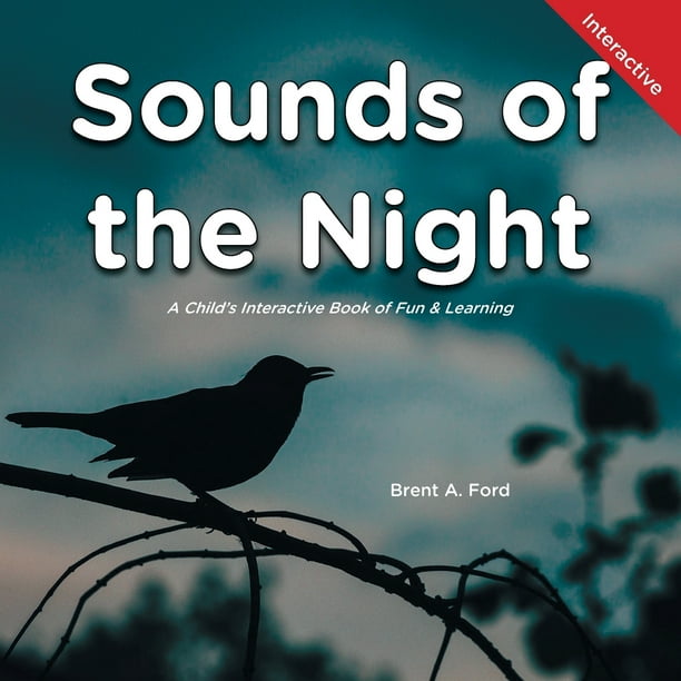 Sounds of the Night : A Child's Interactive Book of Fun & Learning ...