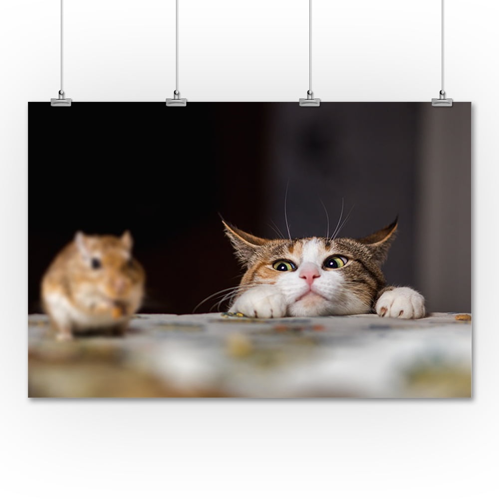 Cat Looking at a Mouse Photography A-90234 (36x54 Giclee Gallery Print ...