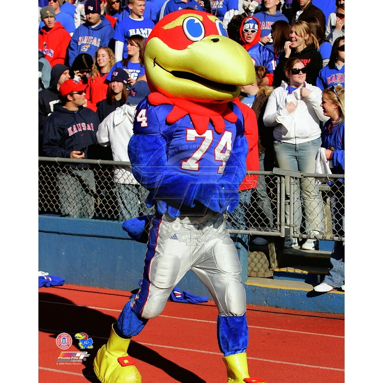 Jayhawk Costume Halloween Costume