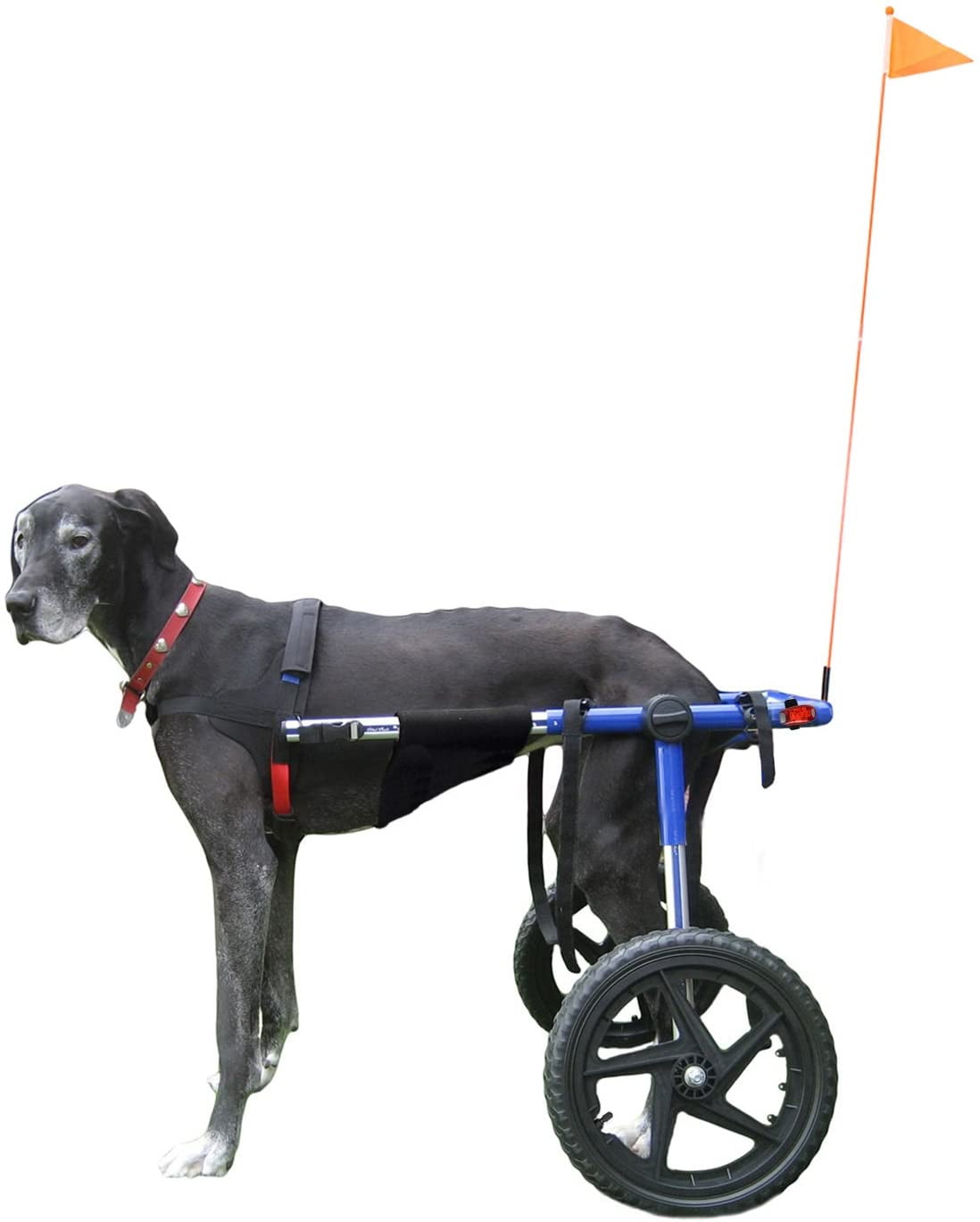 Walkin' Wheels Elite Dog Wheelchair - for Large Dogs 70-180 Pounds ...