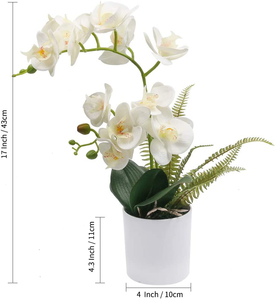 Miniature Artificial phalaenopsis Orchid Silk Orchids RASPBERRY Real ...