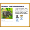Webkinz Signature Endangered Black Rhinoceros Plush Toy - New with ...
