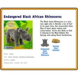 Webkinz Signature Endangered Black Rhinoceros Plush Toy - New with ...