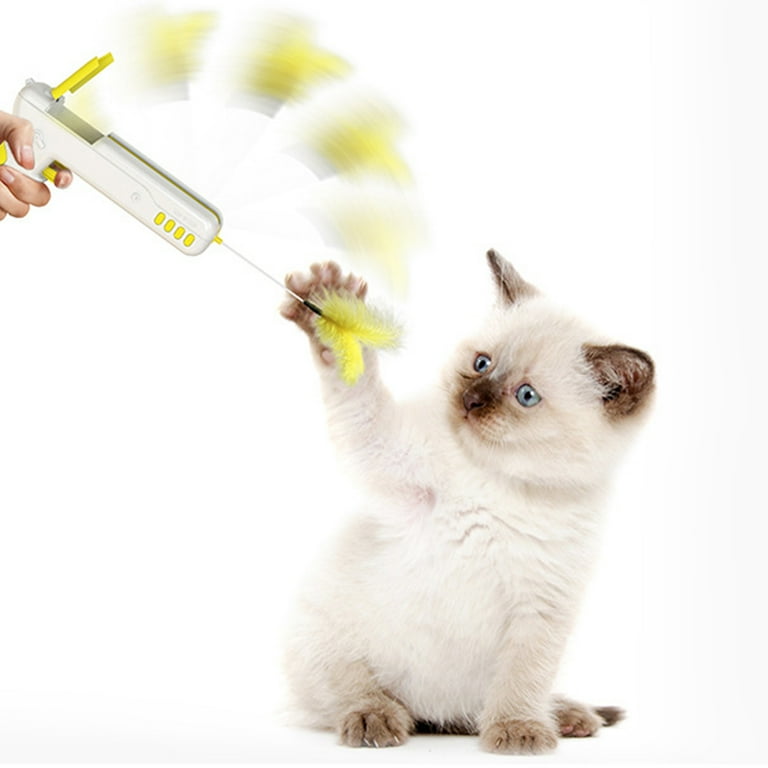 Funny Pics Of Cats With Guns And Captions