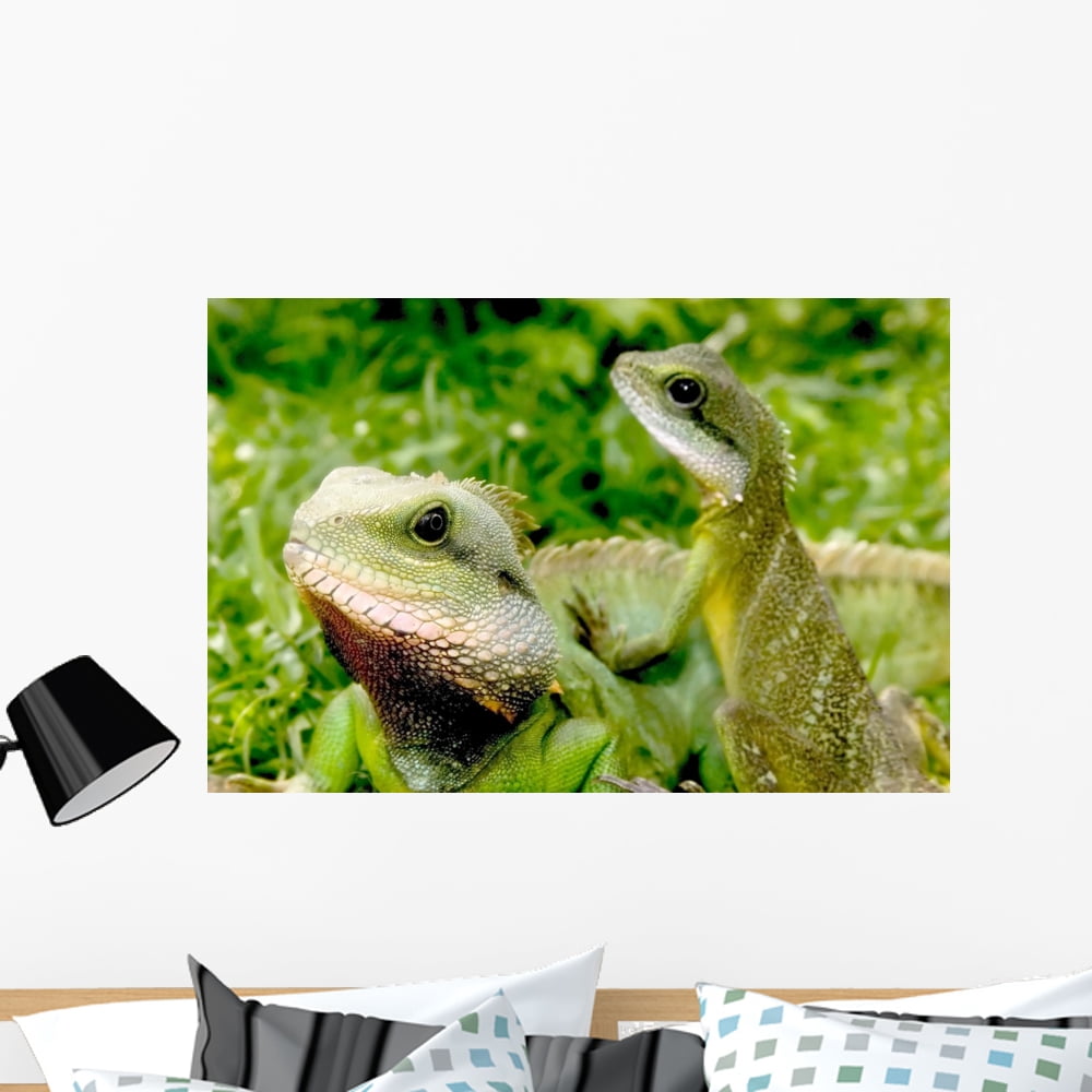 Lizard Wall Mural Decal Sticker, Wallmonkeys Peel & Stick Vinyl Graphic ...