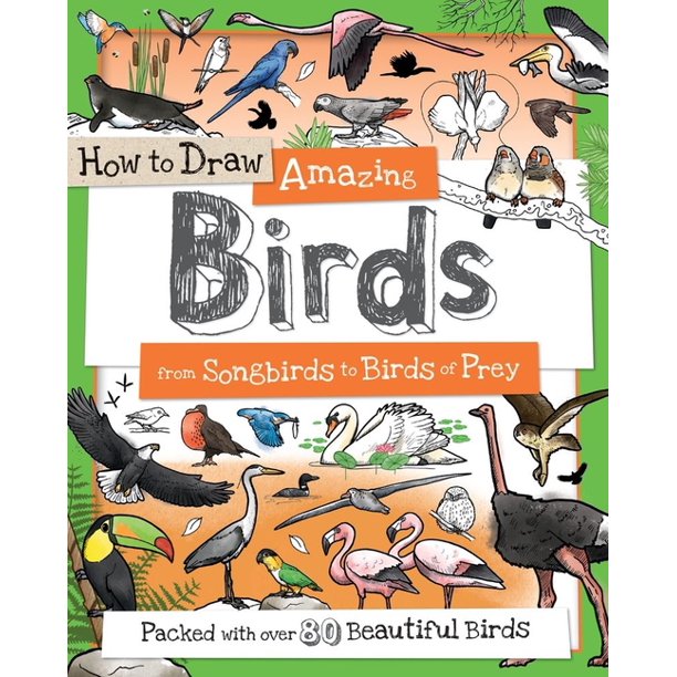 How to Draw: How to Draw Amazing Birds : From Songbirds to Birds of ...