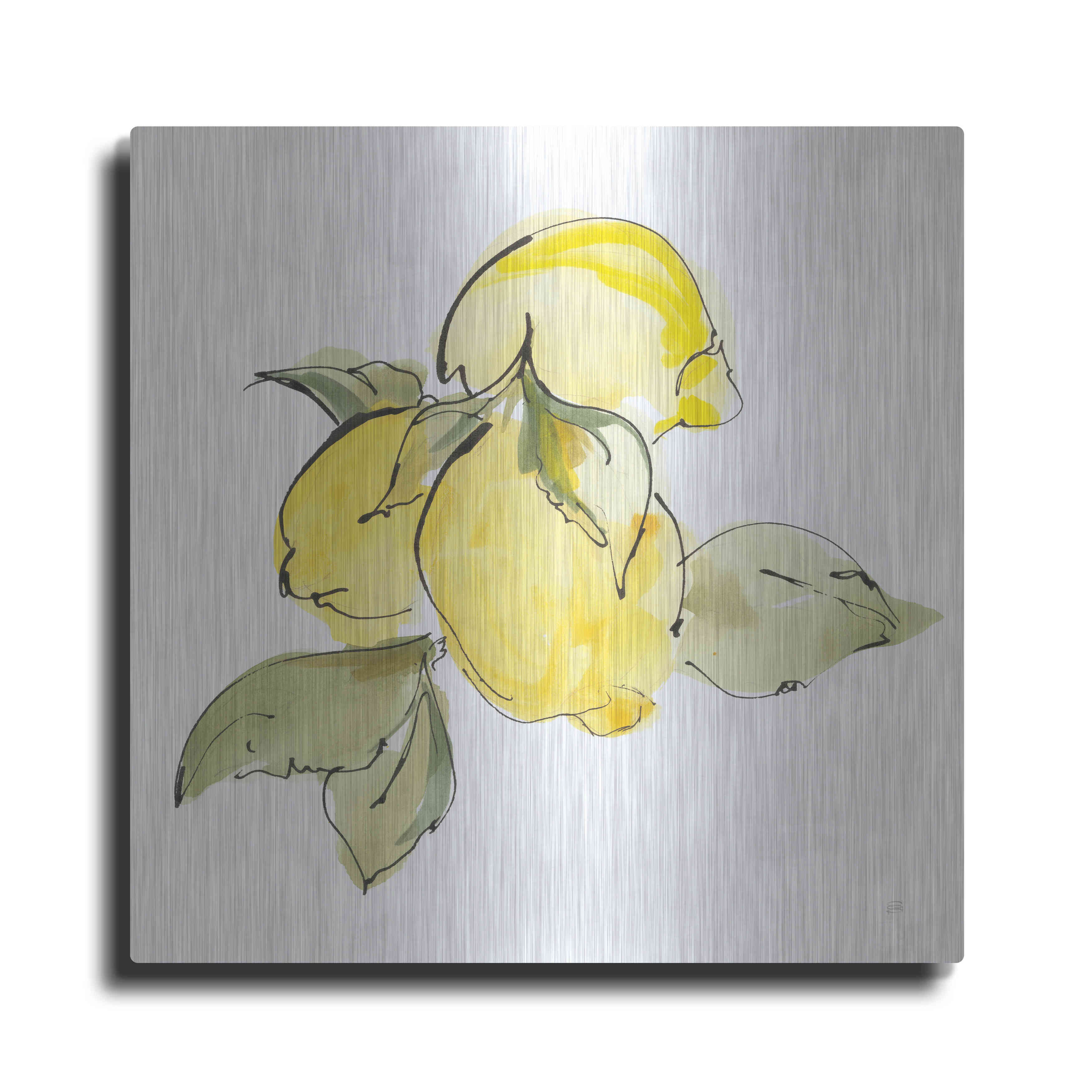 Luxe Metal Art 'Lemons I' by Chris Paschke, Metal Wall Art, 24"x24 ...