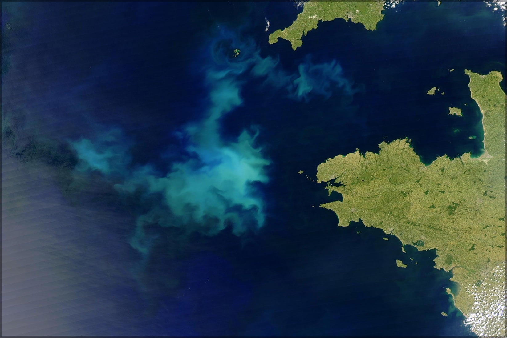 24"x36" Gallery Poster, Coccolithophore phytoplankton algae bloom ...