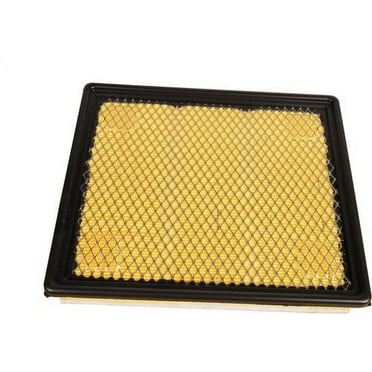 ACDelco #A3174C GM Original Equipment Professional Air Filter Fits ...